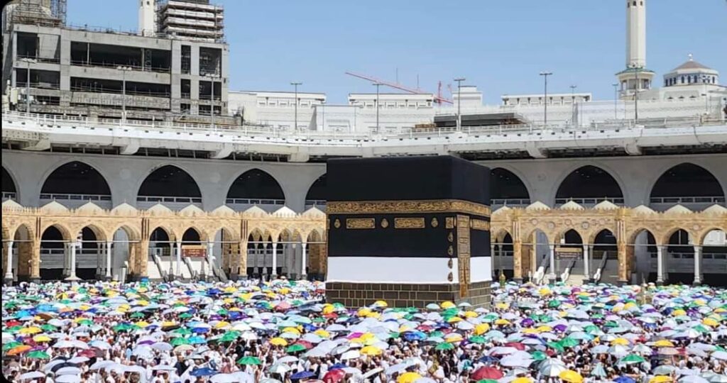 At least 550 Hajj pilgrims died, mostly due to heat, say Arab diplomats - JK News Live